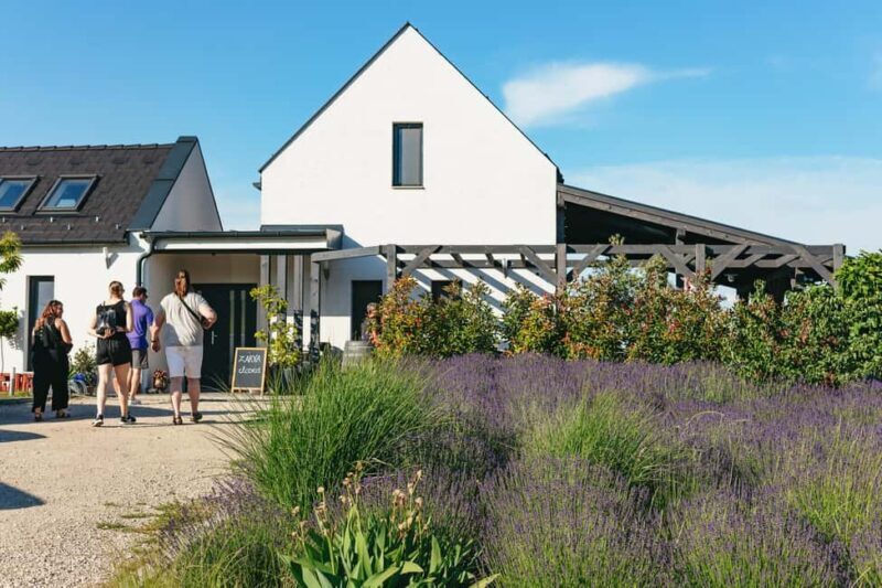 From Budapest: Half-Day Countryside Wine Tour with Meal - What We Love About This Tour