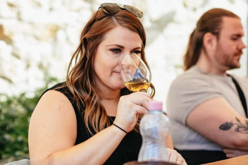 From Budapest: Half-Day Countryside Wine Tour with Meal - What Could Be Better?