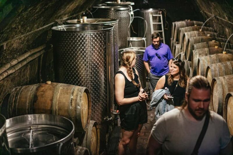 From Budapest: Half-Day Countryside Wine Tour with Meal - Who Should Consider This Tour?