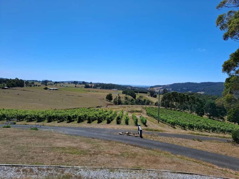 From Burnie: Tasting Trail Tour - The Sum Up