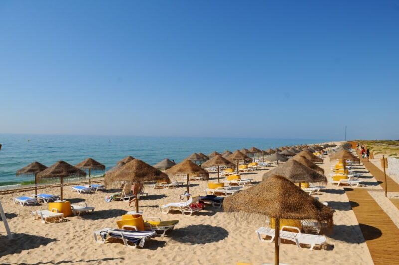 From Cabanas de Tavira: Octopus Route - Who Would Enjoy This Tour?