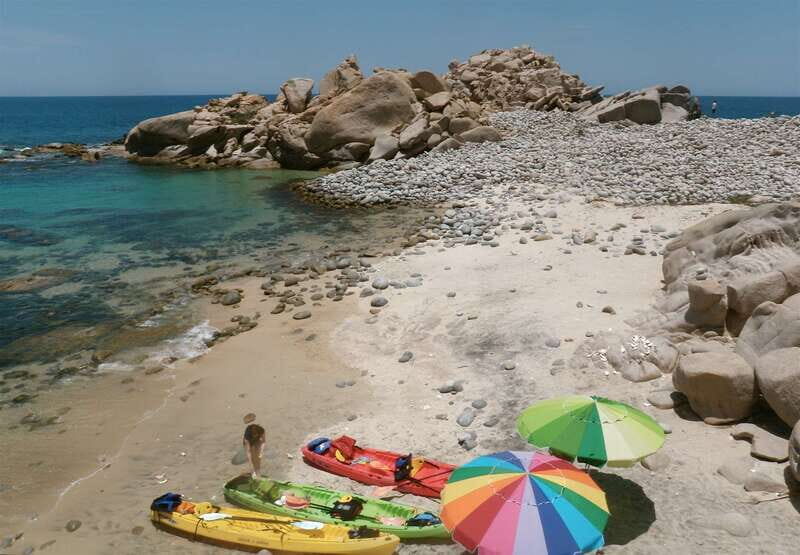 From Cabo: Cabo Pulmo Marine Park Snorkeling and Kayaking - What Makes This Tour Stand Out?