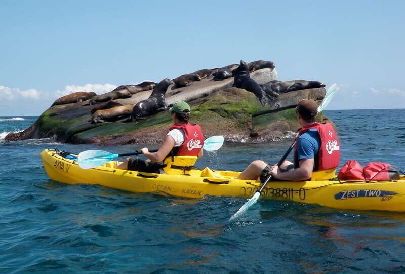 From Cabo: Cabo Pulmo Marine Park Snorkeling and Kayaking - FAQs