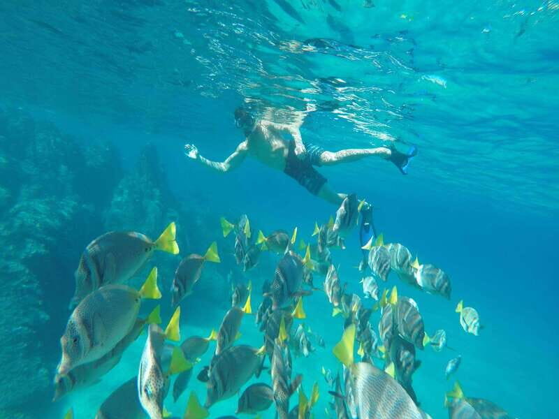 From Cabo San Lucas: Lovers Beach and El Arco Boat Trip - Exploring the Tour Itinerary in Detail