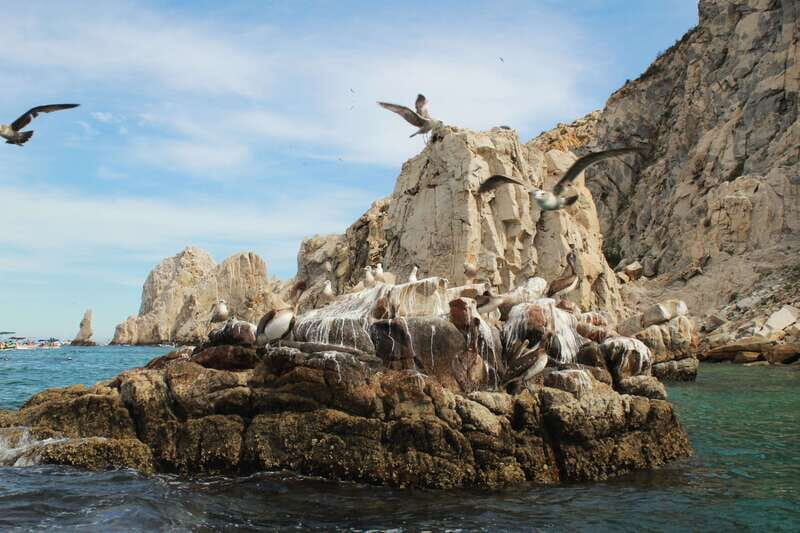 From Cabo San Lucas: Lovers Beach and El Arco Boat Trip - Final Thoughts