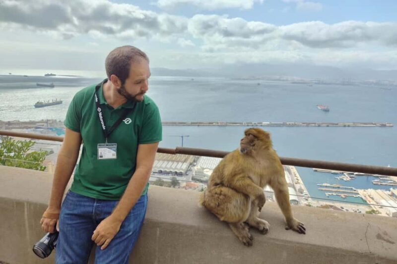 From Cadiz Bay: Gibraltar Day Trip with Rock Tour - A Closer Look at the Gibraltar Day Trip