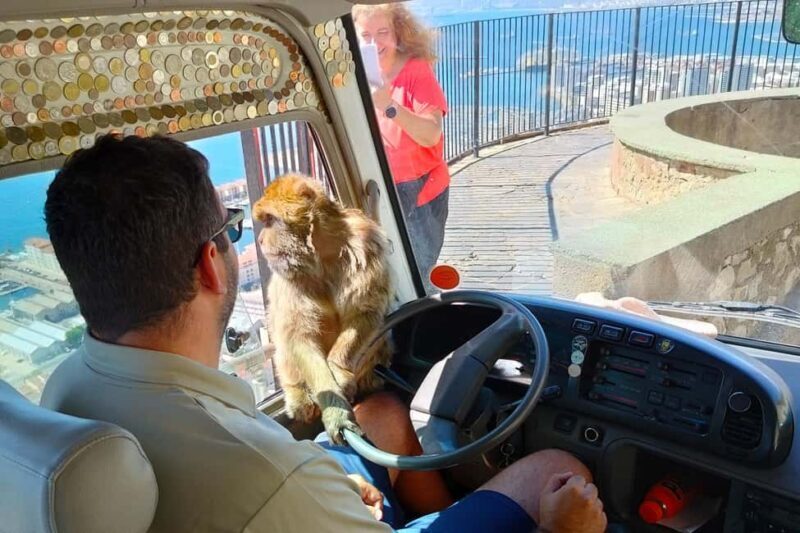 From Cadiz Bay: Gibraltar Day Trip with Rock Tour - Considerations and Potential Drawbacks