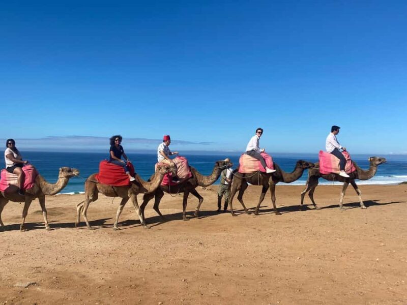 From Cádiz Bay: Tangier Day Trip with Ferry & Local Guide - Guided Tour of Tangier: Culture and History in a Day