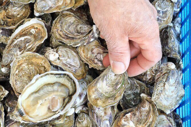 From Caen or Bayeux: D Day and Food Range Rover Half Day Tour - The Sum Up