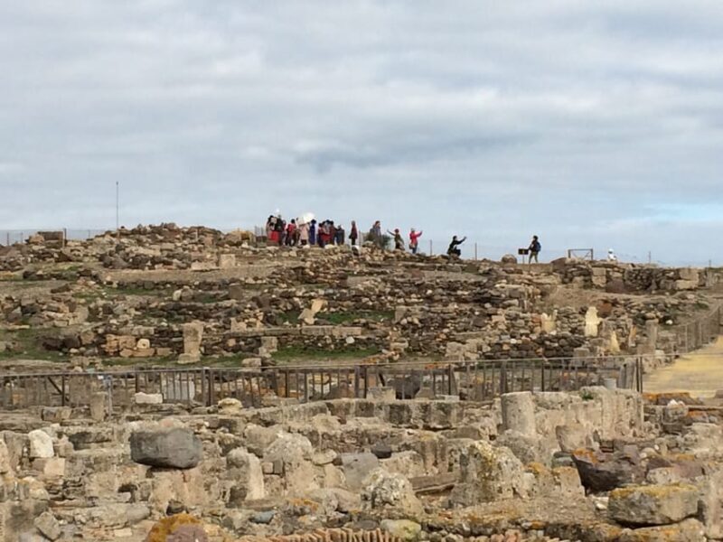 From Cagliari: Nora Ruins and Pula Guided Tour - Exploring the South Sardinia Tour: What to Expect