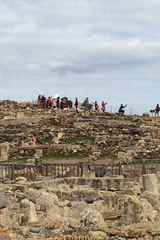 From Cagliari: Nora Ruins and Pula Guided Tour - Who Would Love This Tour?