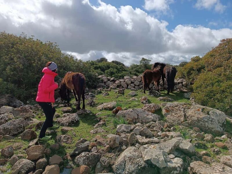 From Cagliari: Nuraghe Barumini UNESCO & Casa Zapata Museum - FAQ