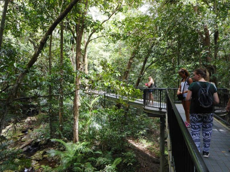 From Cairns: 2-Day Waterfall and Daintree Tour - Exploring the Waterfalls and Atherton Tablelands