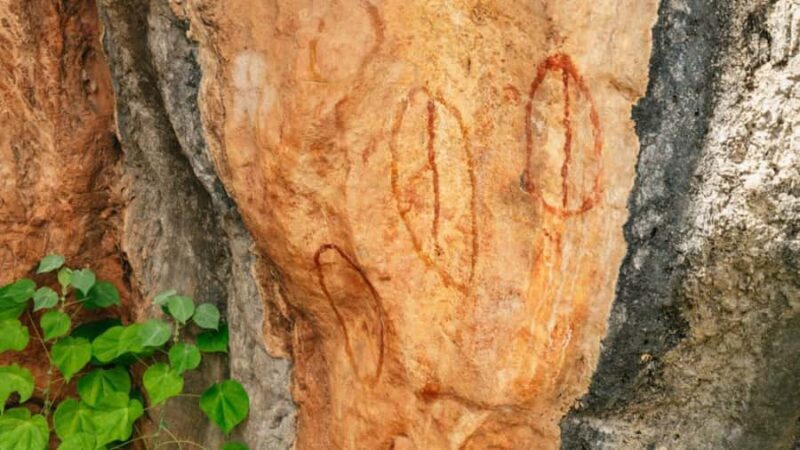 From Cairns: 3-Day Reef, Rainforest, and Outback Package - FAQs