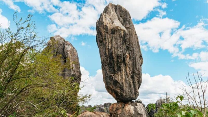 From Cairns: 3-Day Reef, Rainforest, and Outback Package - Final Thoughts