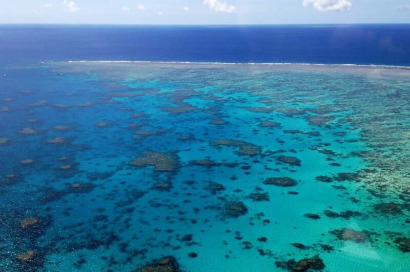 From Cairns: 40-Min Scenic Reef Window Seat Airplane Flight - The Itinerary and What to Expect