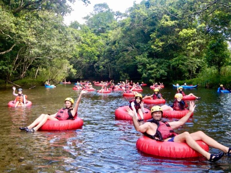 From Cairns and Northern Beaches: Rainforest River Tubing - The Itinerary: What to Expect