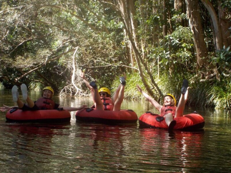 From Cairns and Northern Beaches: Rainforest River Tubing - The Guides: What Sets Them Apart?