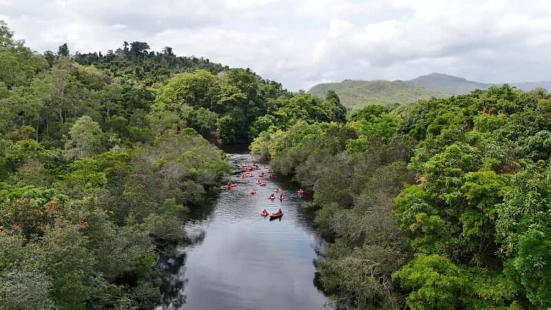 From Cairns and Northern Beaches: Rainforest River Tubing - The Value & Price Analysis