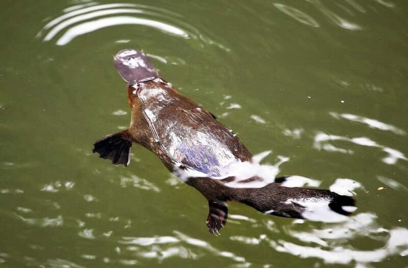 From Cairns: Atherton Tablelands Food and Wine Tasting Tour - The Sum Up