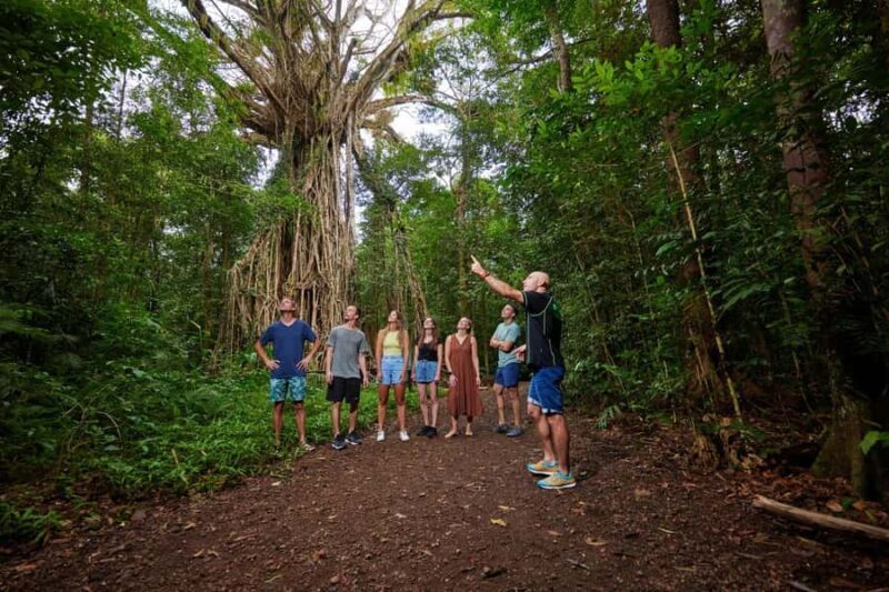 From Cairns: Barefoot Tablelands Waterfall & Rainforest Tour - Practical Details & Tips