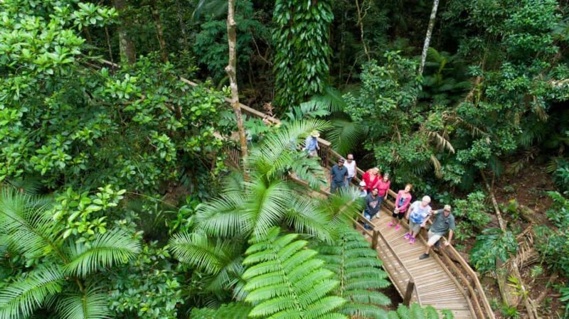 From Cairns: Daintree Rainforest & Cape Tribulation 4WD Tour - Food & Refreshments