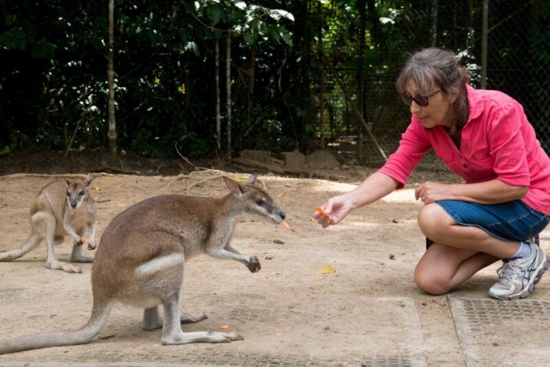 From Cairns: Daintree Rainforest & Cape Tribulation 4WD Tour - Pricing & Value
