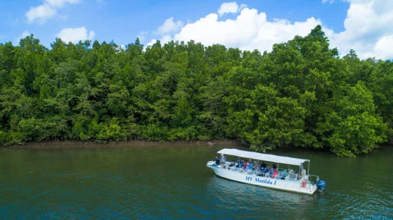 From Cairns: Daintree Rainforest & Cape Tribulation 4WD Tour - Who Will Love This Tour?