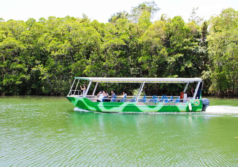 From Cairns: Daintree Wilderness & Cape Tribulation Bus Tour - Key Points