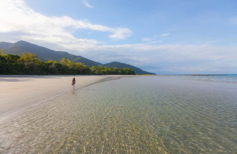 From Cairns: Daintree Wilderness & Cape Tribulation Bus Tour - Authentic Experiences from Travelers