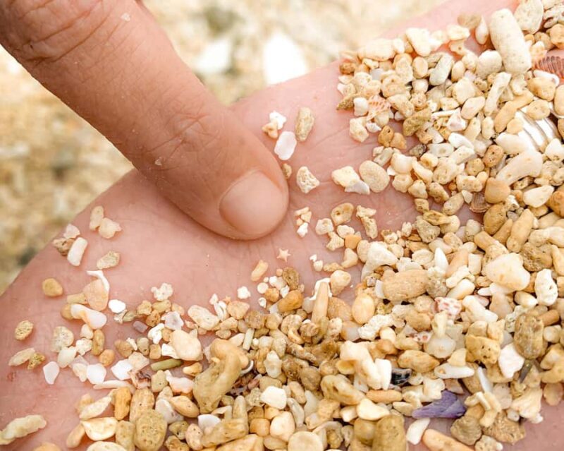 From Cairns: Frankland Island All-Inclusive Day Tour - Cost and Value for Money