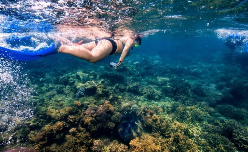 From Cairns: Frankland Island All-Inclusive Day Tour - In The Sum Up