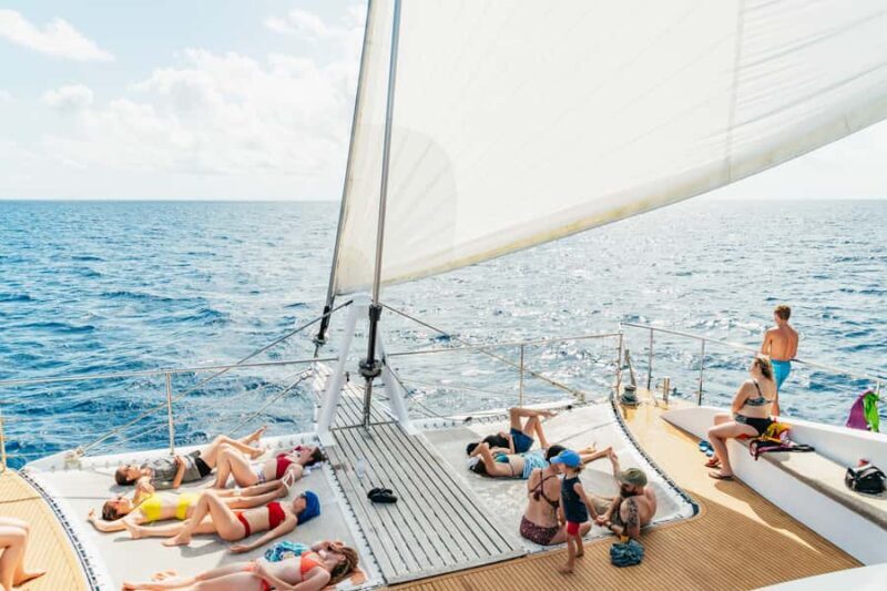 From Cairns: Great Barrier Reef Cruise by Premium Catamaran - Key Points