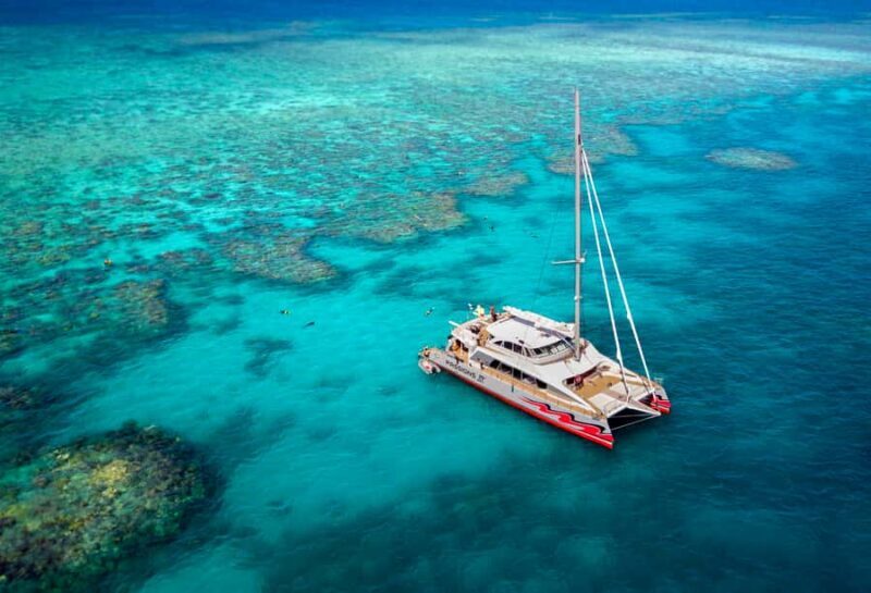 From Cairns: Great Barrier Reef Cruise by Premium Catamaran - The Experience in Detail