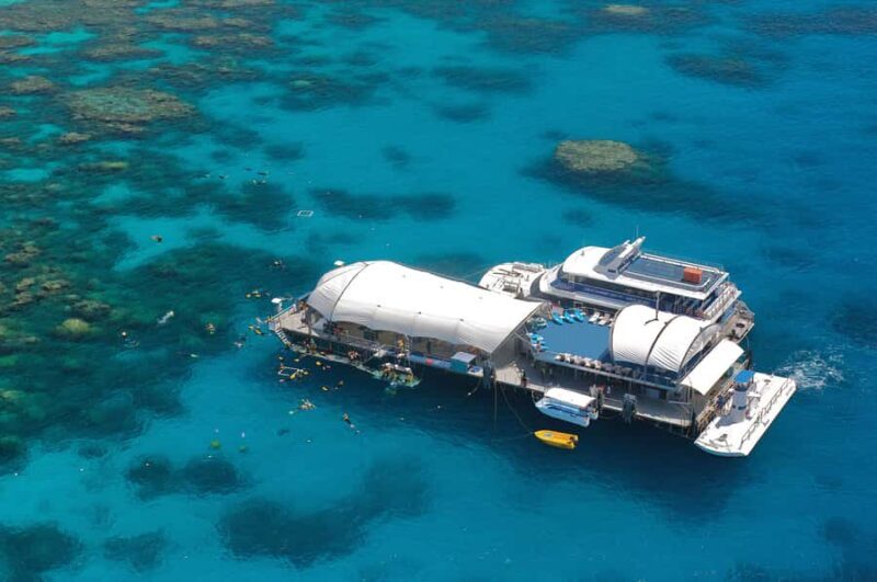 From Cairns: Great Barrier Reef Pontoon Experience - Practical Tips for Your Reef Day