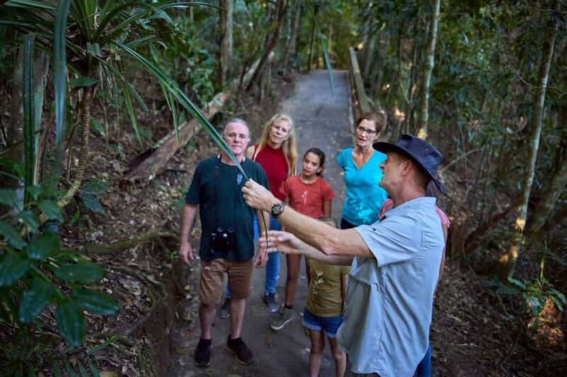 From Cairns: Rainforest & Nocturnal Wildlife Tour - Frequently Asked Questions