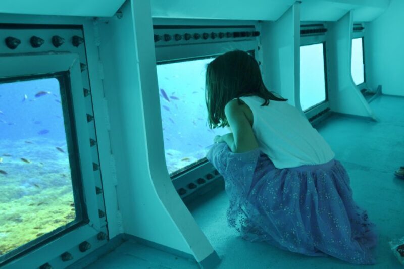 From Calas de Mallorca: Scenic Glass Bottom Boat Tour - An In-Depth Look at the Glass Bottom Boat Experience