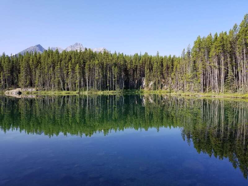 From Calgary/Banff: Columbia Icefield Glacier Full-Day Trip - Who Would Love This Tour?