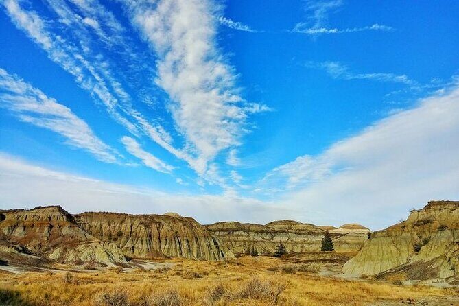 From Calgary: Private Tour to Royal Tyrrell Museum & Drumheller - Key Points