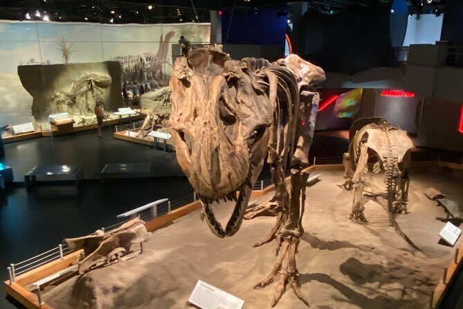 From Calgary: Private Tour to Royal Tyrrell Museum & Drumheller - Practical Tips for Making the Most of This Tour