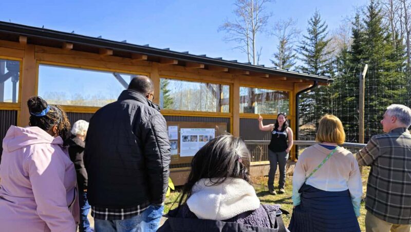 From Calgary to Banff: Day Trip with Wolfdog Sanctuary Visit - Key Points
