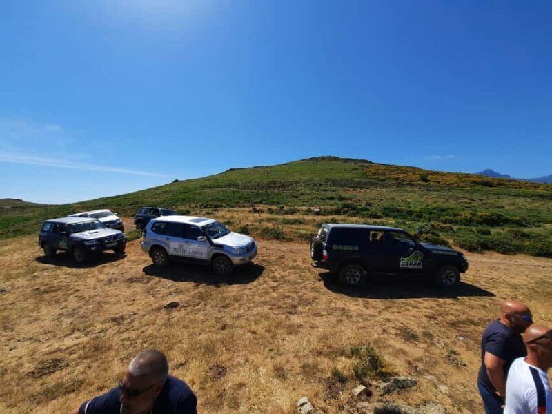 From Calvi: 4x4 Day Tour Mountain & Agriates' Saleccia Beach - Key Points