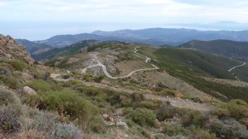 From Calvi: 4x4 Day Tour Mountain & Agriates' Saleccia Beach - Final Thoughts: Who Should Consider This Tour?