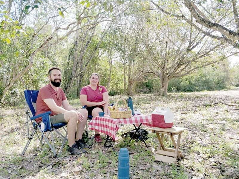 From Campeche: Calakmul Guided Nature and History Day Trip - Key Points