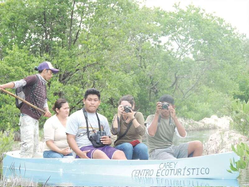 From Campeche: Flamingo Private Tour - What to Expect and Practical Details