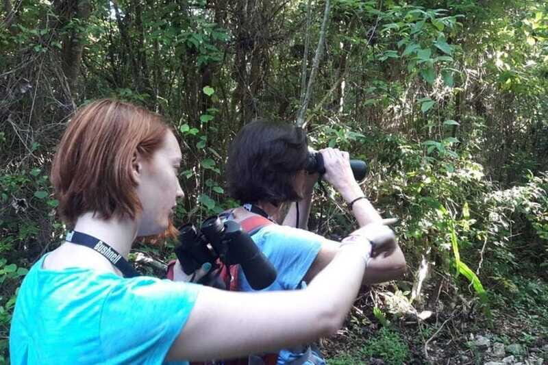 From Cancun: Bird Watching Day Tour - Final Thoughts