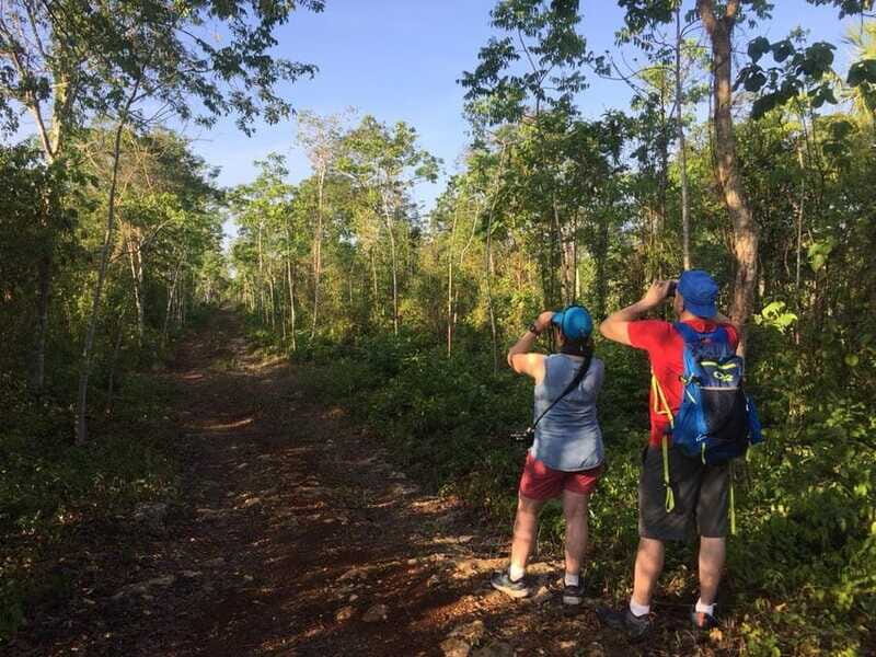 From Cancun: Bird Watching Day Tour - FAQ