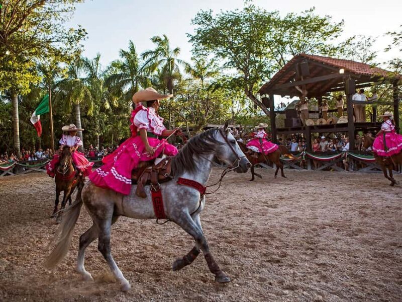 From Cancun: Complete Combo to Xcaret Park! - Practical Tips for Your Visit  