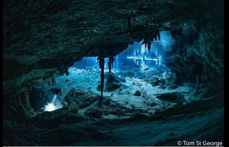 From Cancun: Dos Ojos Cenote Diving Experience - An Introduction to the Dos Ojos Cenote Diving Experience