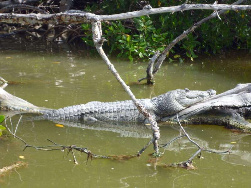 From Cancun: Kantemó Snake Cavern Adventure - Exploring the Journey: What to Expect